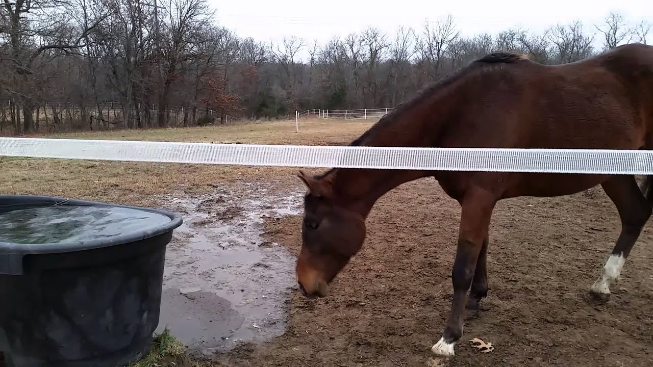 Scary water tank - YouTube