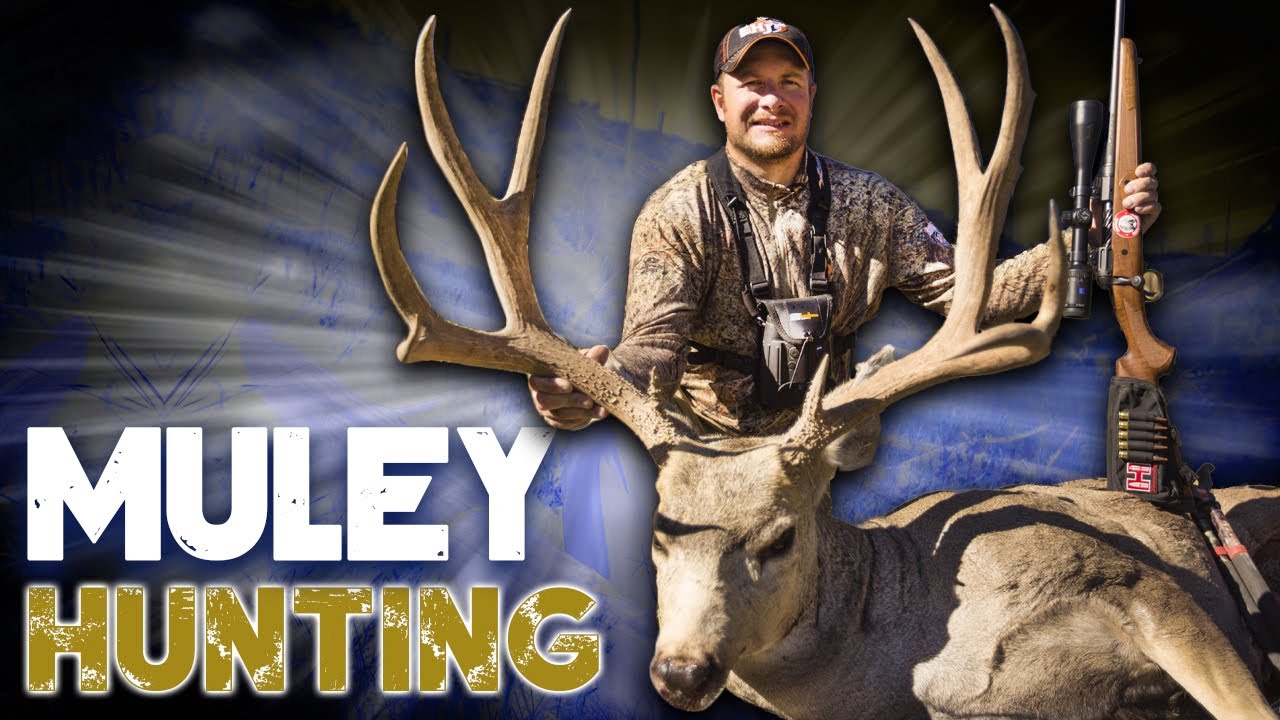 Hunting Mule Deer in Colorado: Ike Eastman Kills a Giant - YouTube