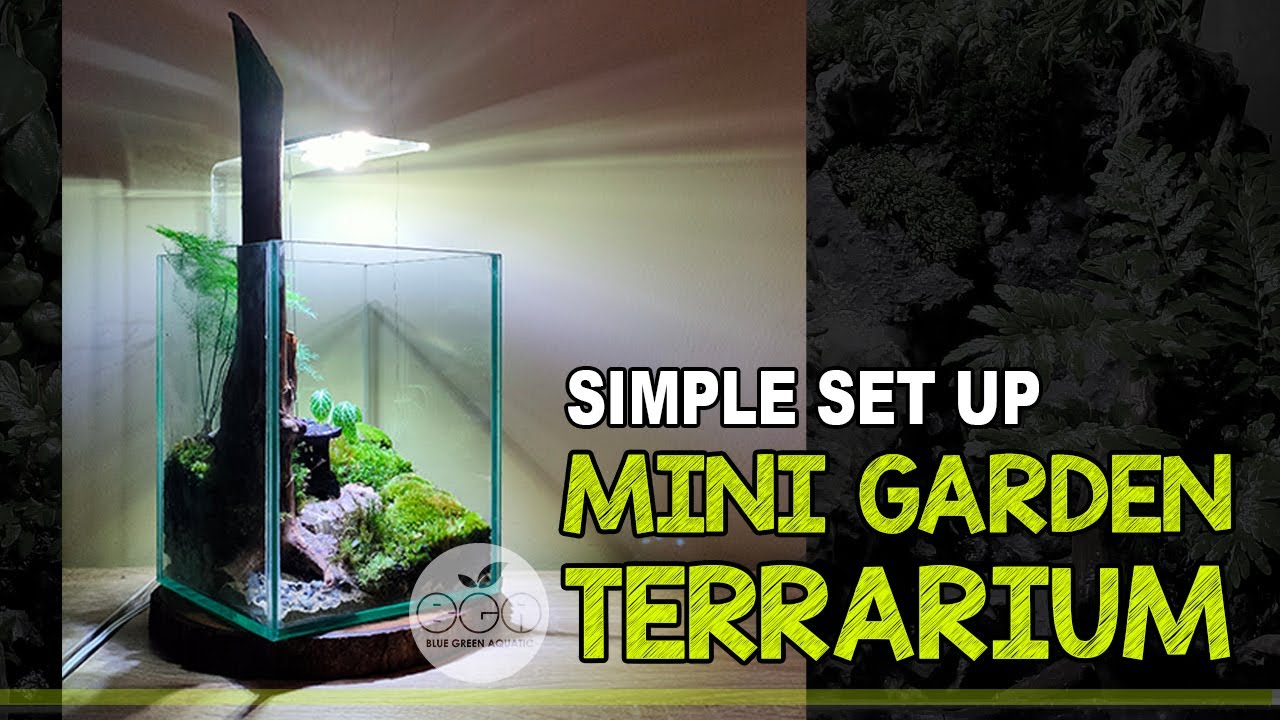 #23 - SIMPLE MINI GARDEN | Terrarium Set Up - YouTube