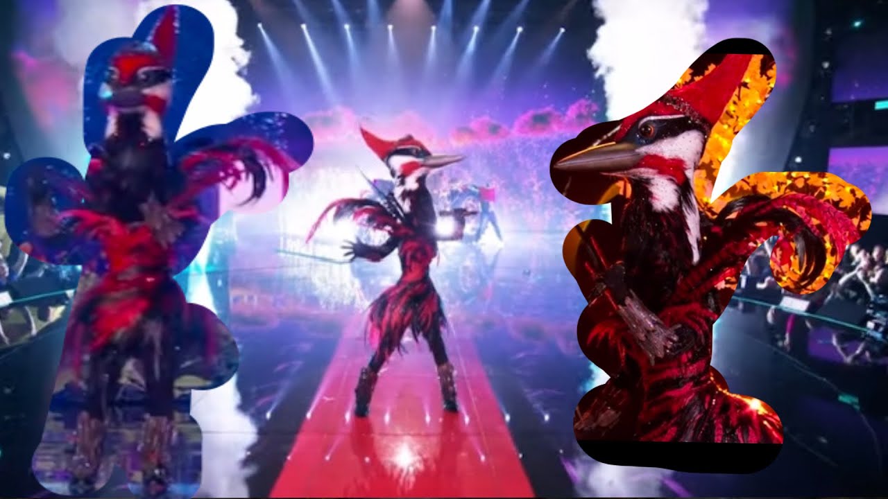 Every woodpecker performance ranked| The Masked Singer season 12 - YouTube