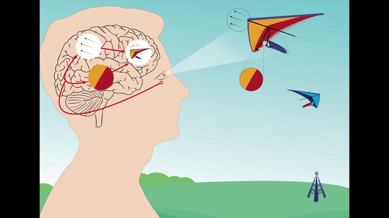 How brain rhythms organize our visual perception - YouTube