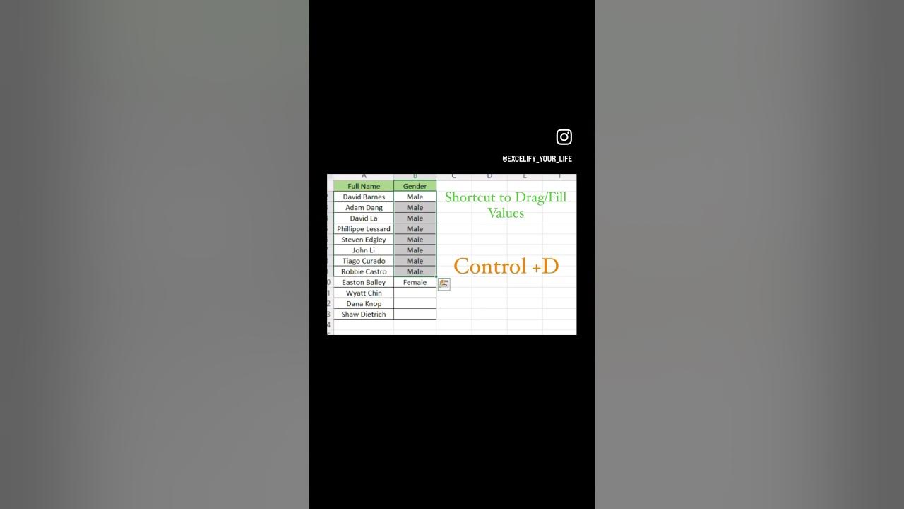 Shortcut For Dragdrop Values Advanceexcel Exceltricks Exceltutorial Excelhacks Learning 7106
