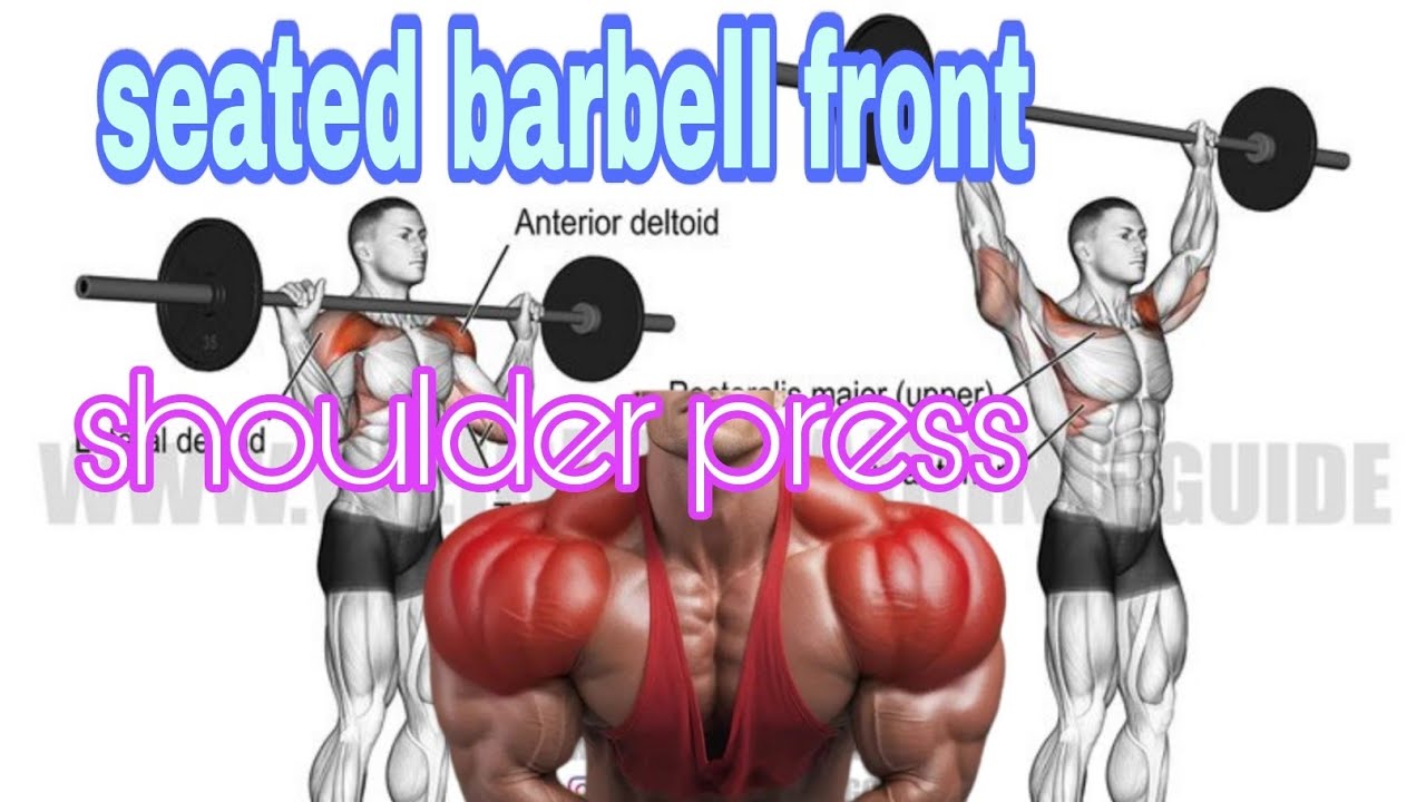seated barbell front shoulder press - YouTube