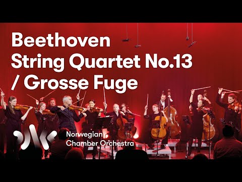 Beethoven: String Quartet Op.130 / Grosse Fuge, Op. 133 (arr. strings)