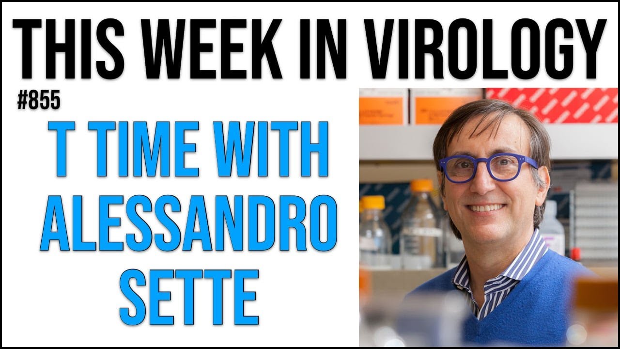 TWiV 855: T time with Alessandro Sette - YouTube