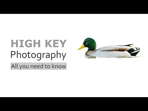 What is High Key Photography? | Your First High Key Image