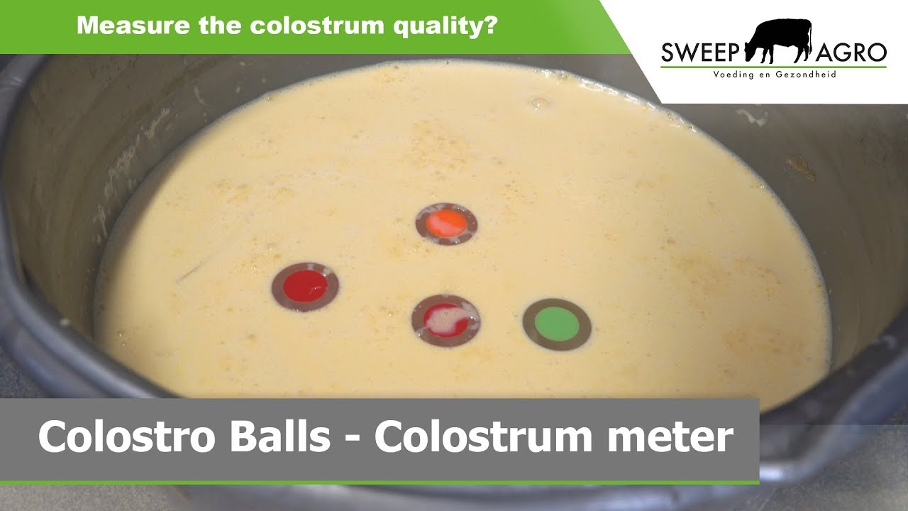 Colostrum meter - Colostro Balls | Sweep Agro - YouTube