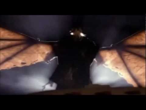 EL DEMONIO 2 LA PELICULA-RAMMSTEIN-MEIN-HERZ-BRENNT - YouTube