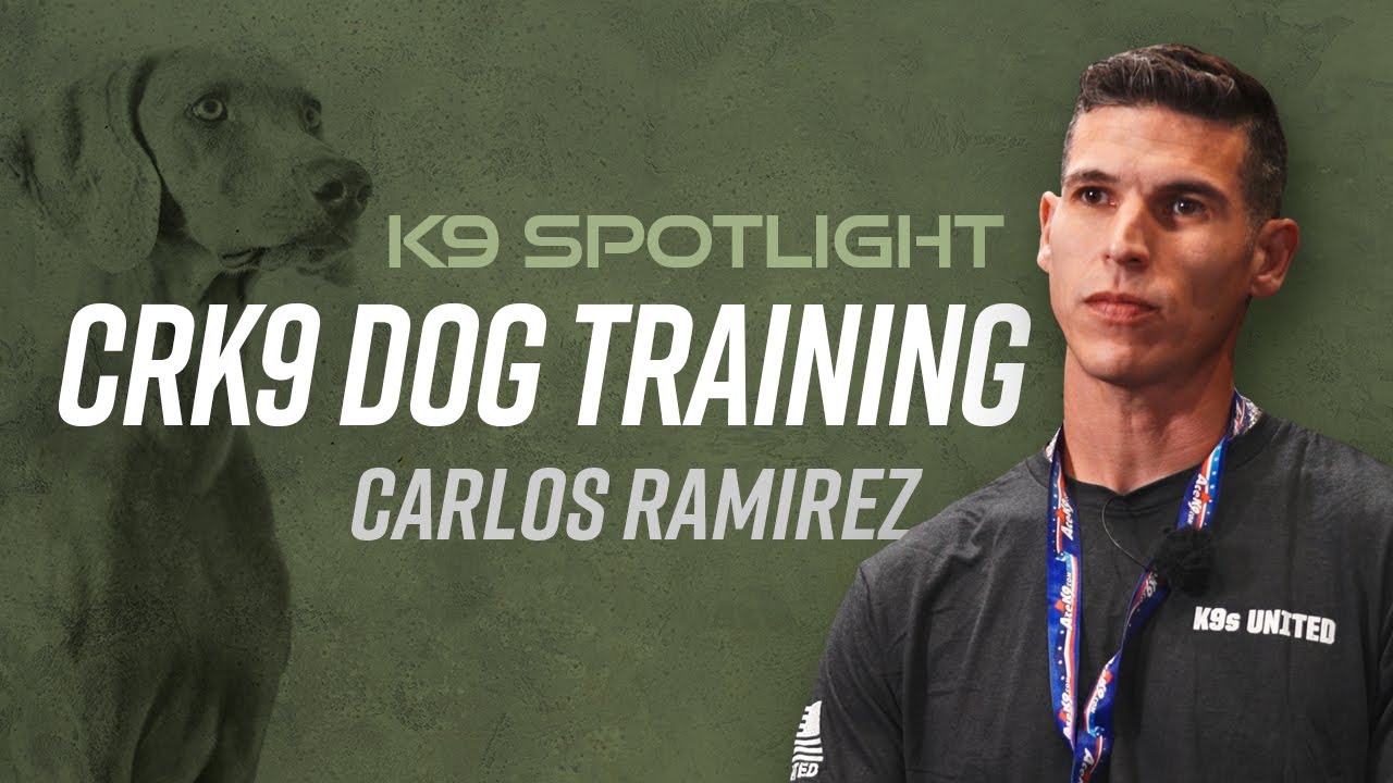 CRK9 Dog Training: Carlos Ramirez - K9 Spotlight - YouTube