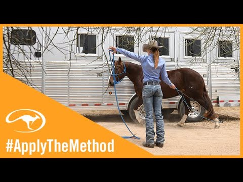 Training Tip: What to do When You Unload Your Horse Off the Trailer ...