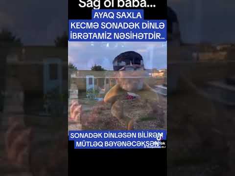 ŞAİRDƏN İNSANI DÜŞÜNDÜRƏ BİLƏCƏK İBRATAMİZ SÖZLƏR.