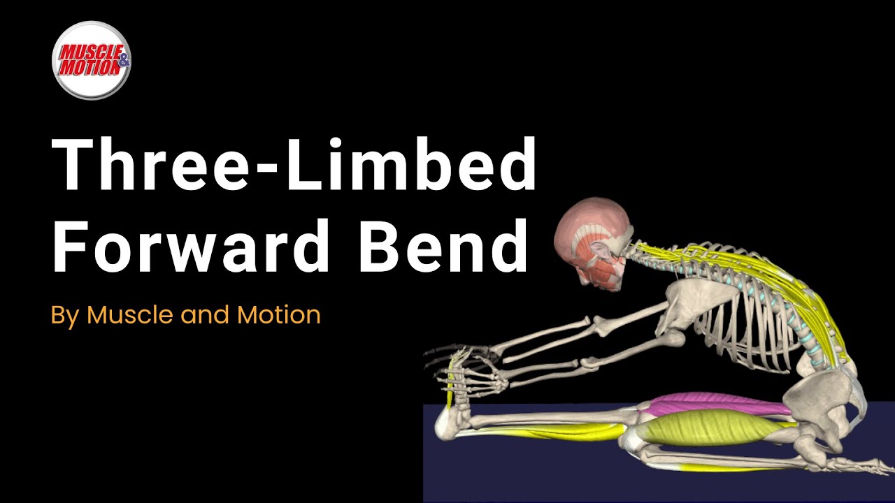 The Three-Limbed Forward Bend Yoga Pose - YouTube