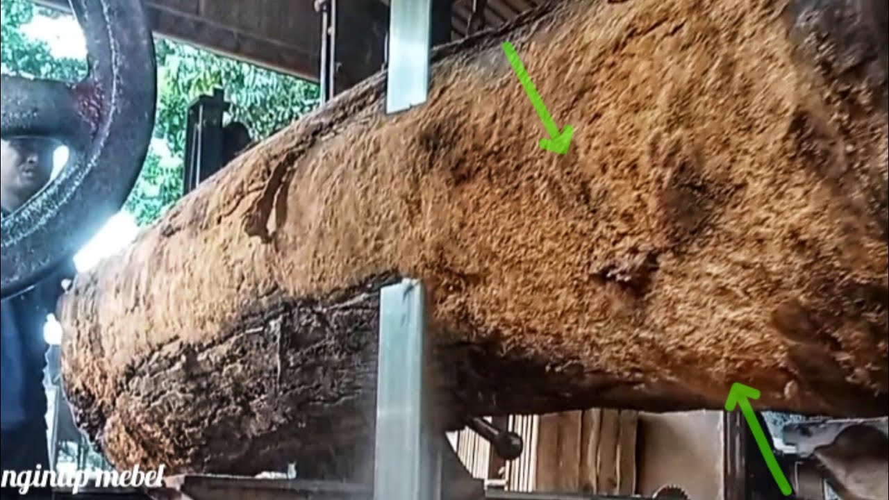 Mengagumkan. Terbalut serbuk, kayu trembesi pesanan Mas Hanung ini ...