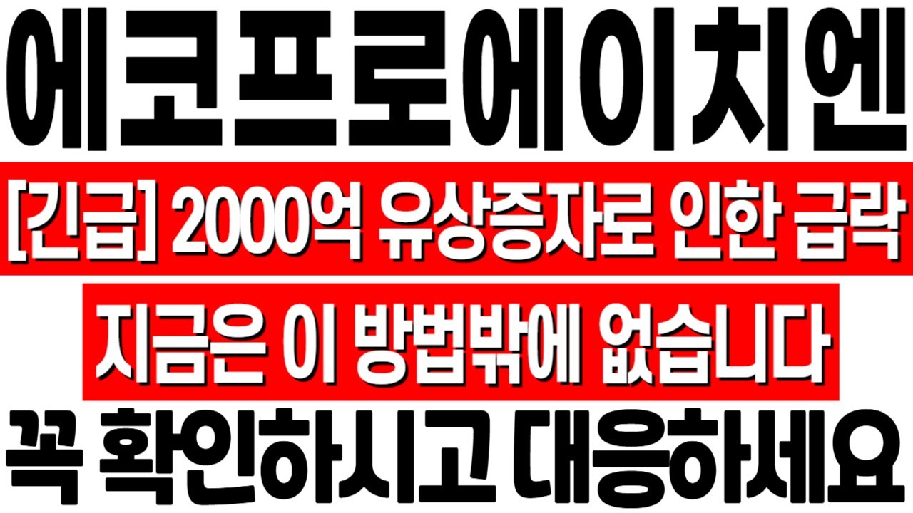 에코프로에이치엔 주가 전망 2000억 주주 배정 유상증자 공시로 인한 급락 발생 이젠 이 방법밖에 없습니다 에코프로에이
