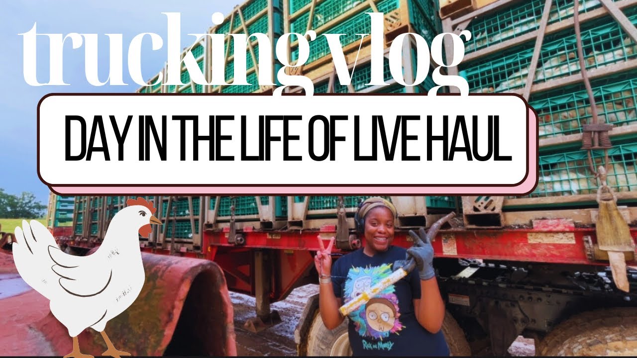 Day in the Life | Hauling Chickens | Live Haul Trucking Vlog | Female ...