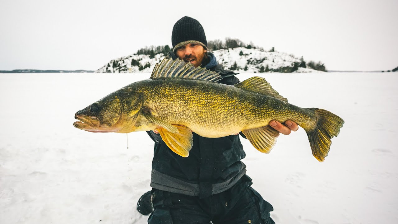 He Caught This GIANT Walleye through the Ice! - YouTube