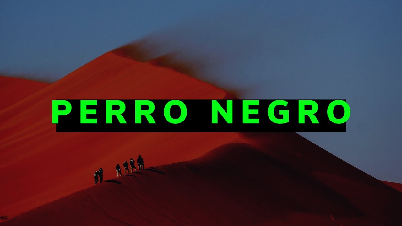 BAD BUNNY ft FEID - PERRO NEGRO LETRA - YouTube