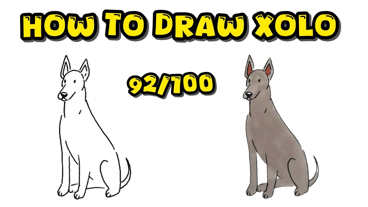 100 Dogs Breed Drawing: How to Draw Xoloitzcuintli – Series 92/100 ...