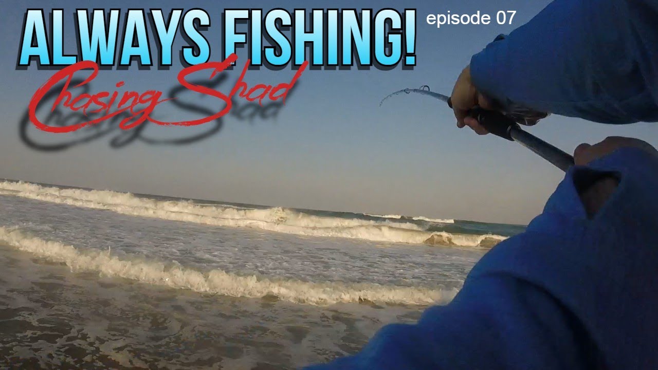 Always Fishing! 07 Chasing shad - YouTube