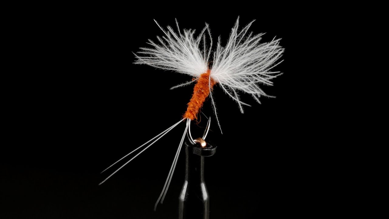 CDC Rusty Spinner ( Dry Fly by Bryn Bode ) - YouTube