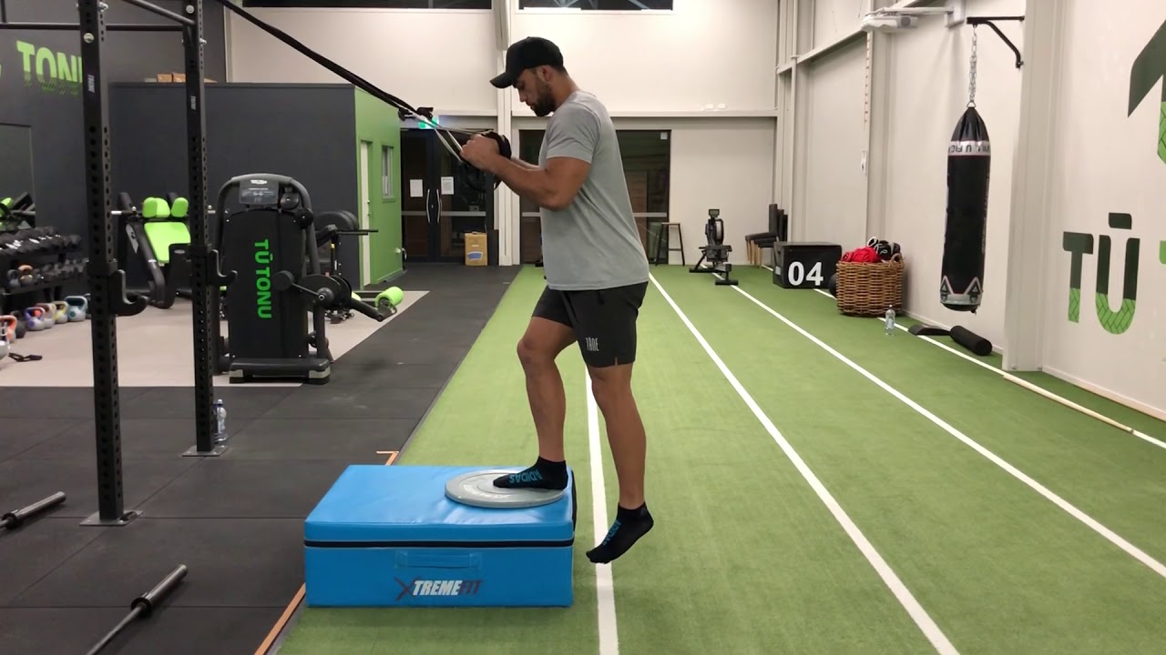 TRX Assisted Step Up - YouTube