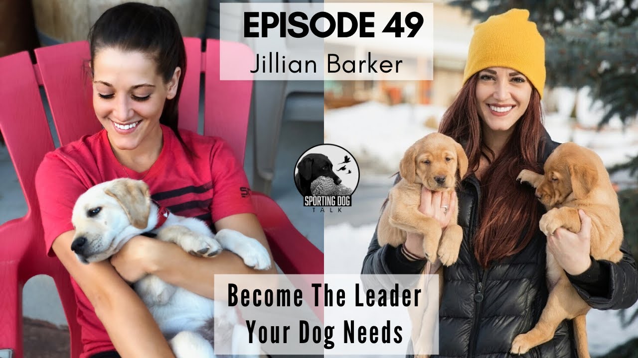 Podcast Short Episode 49: Jillian Barker- Become The Leader Your Dog ...