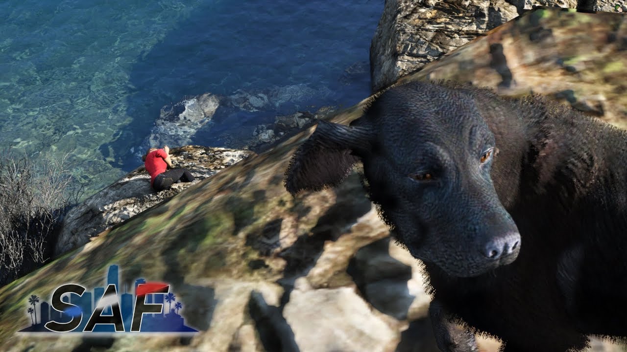 Fire Dog and Campbell in Trouble! [GTA RP] - SAF #25 - YouTube