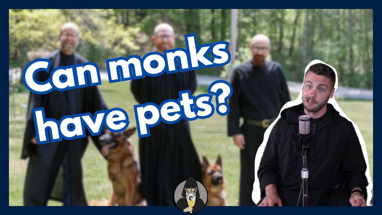 Do Monks Have Pets, Vacation, and Finances? - YouTube