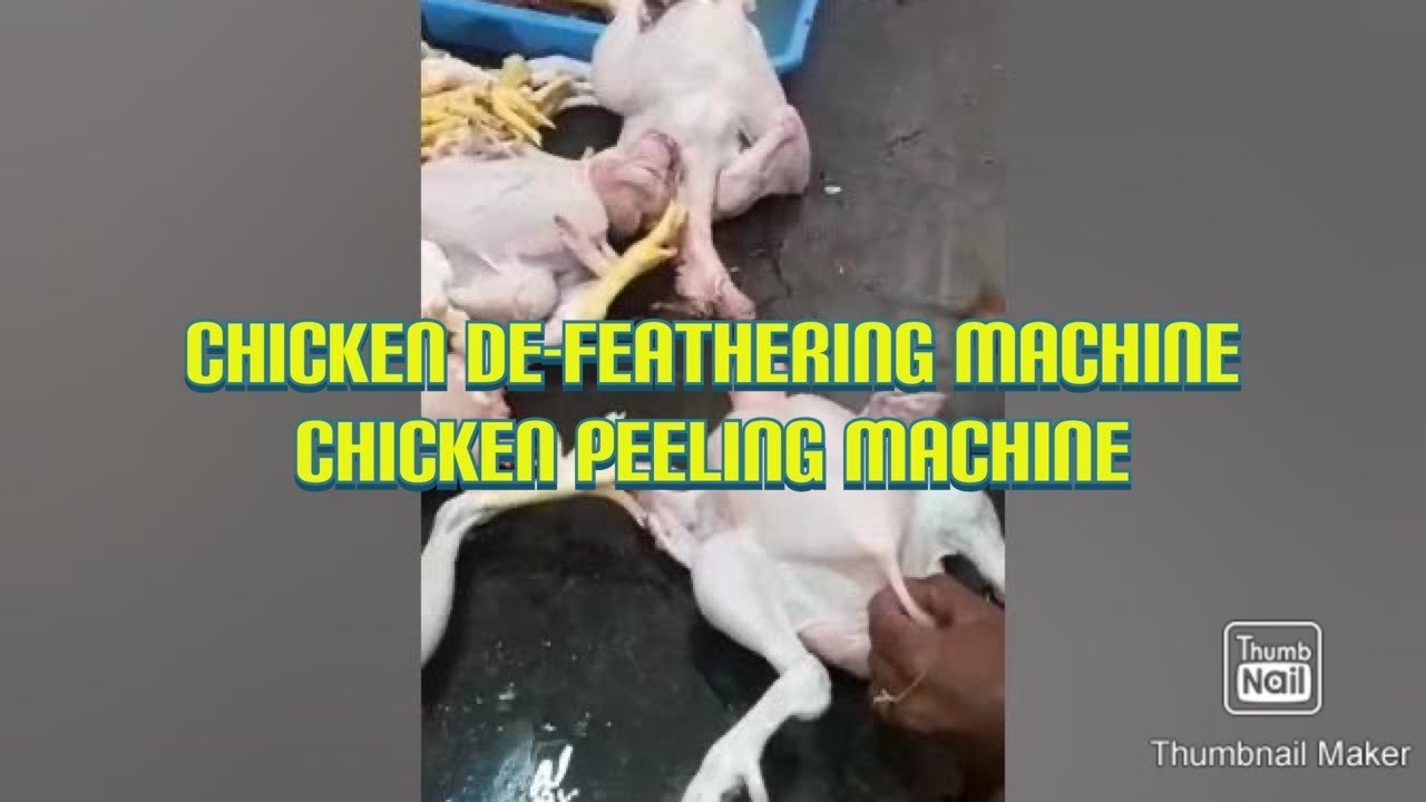CHICKEN DE-FEATHERING machine, Chicken peeling machine 📱☎️📞+91 74892 ...