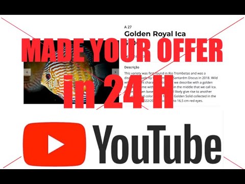 BUY CHEAPER MADE YOUR OFFER IN 24H Golden Royal Ica - YouTube