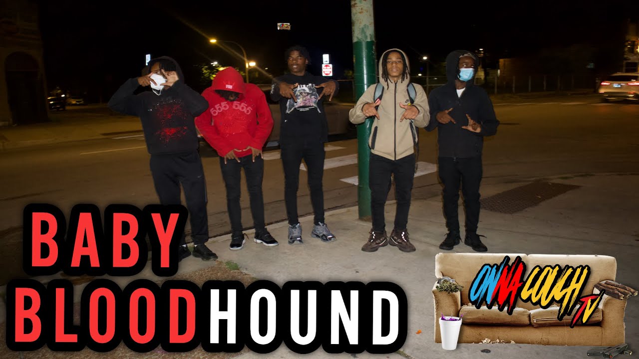 Baby Bloodhound Lil Speedy Hood Vlogs| Lil Jeff Bond Q50 wlil50 Fully ...