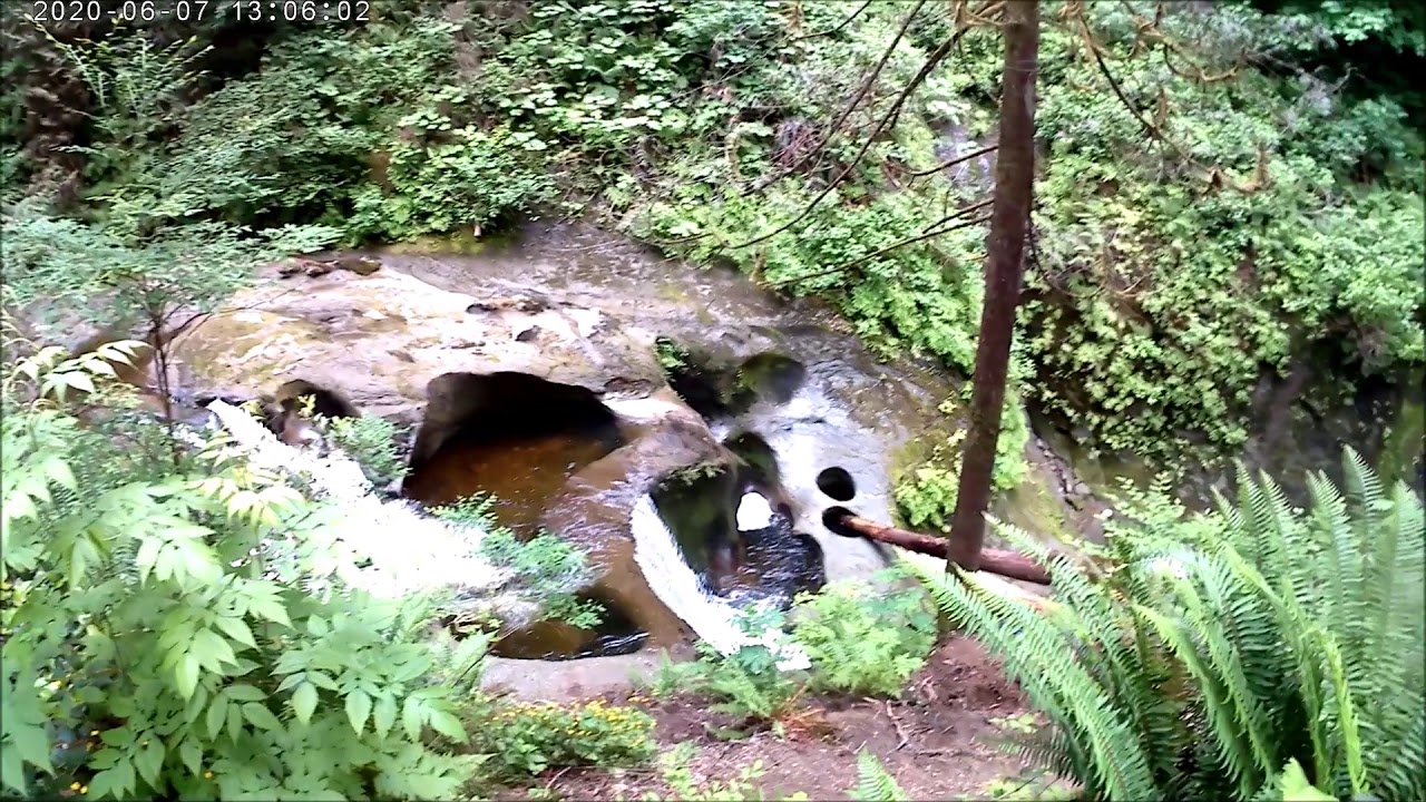 Cliff Falls/Maple Ridge, BC - YouTube