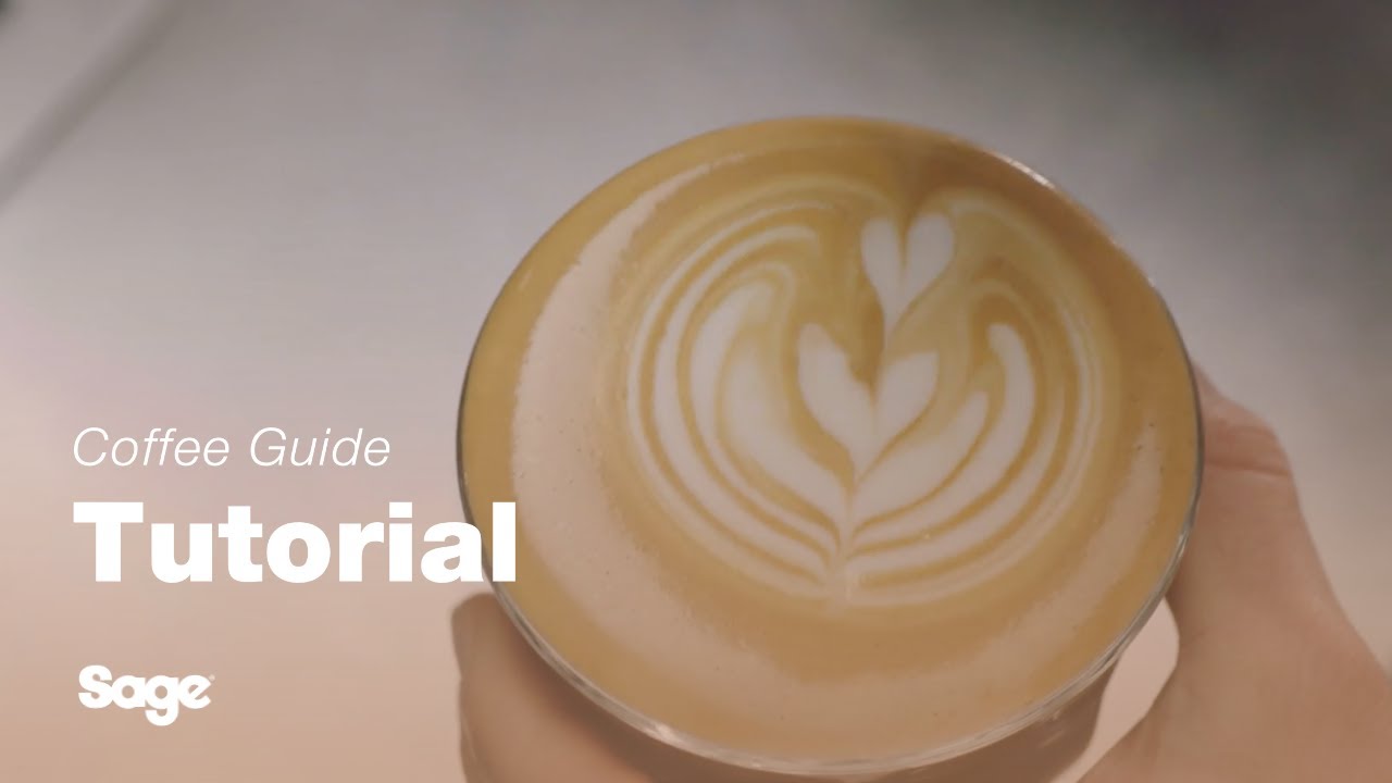 Tutorials - How to create latte art: the tulip & rosetta | the Dynamic Duo™ | Sage