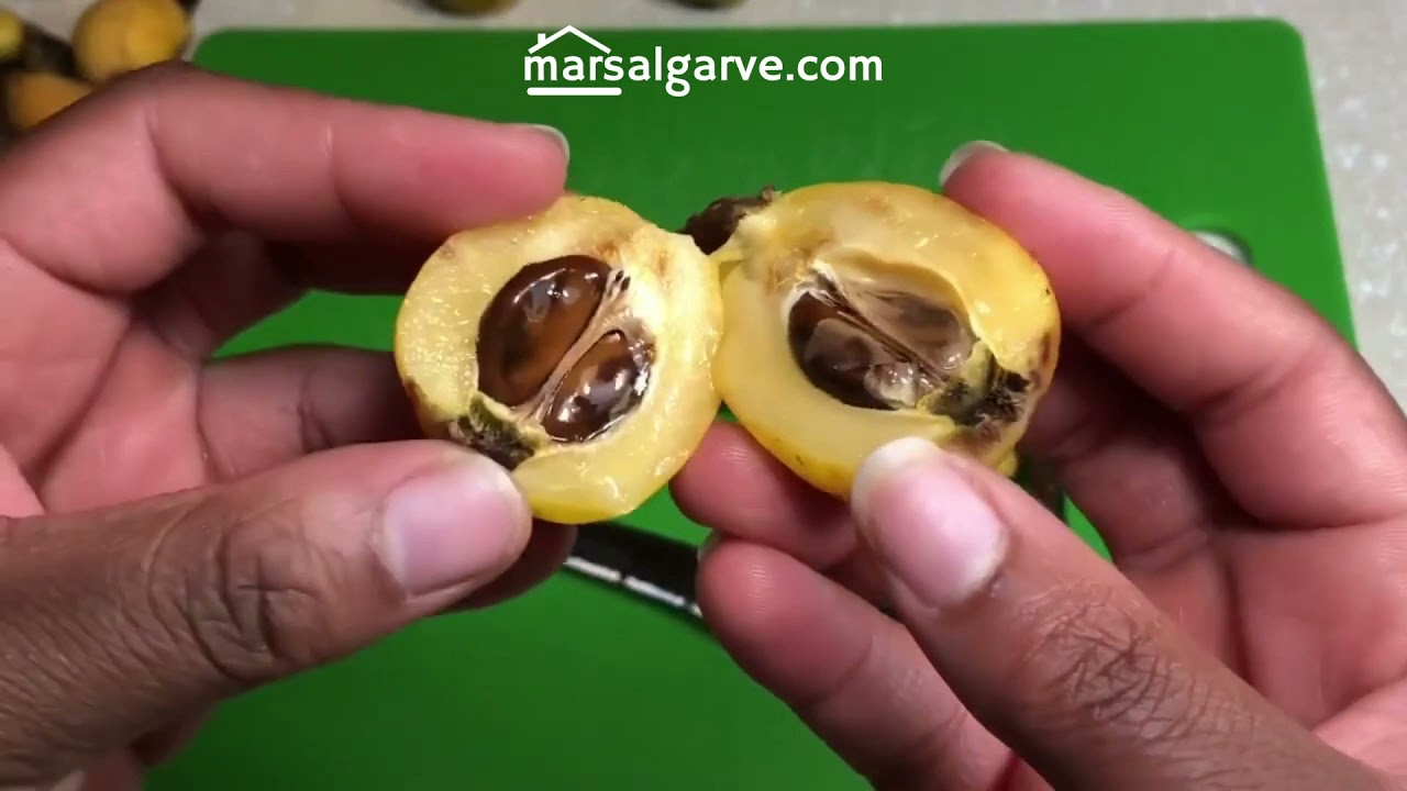 PORTUGUESE NESPERA Fruit - YouTube
