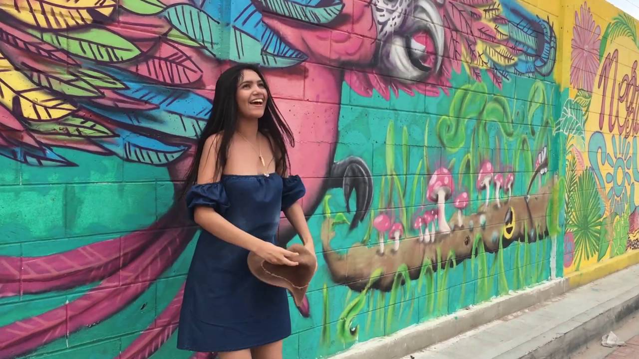 La Bicicleta- Carlos Vives & Shakira. (Remake) - YouTube