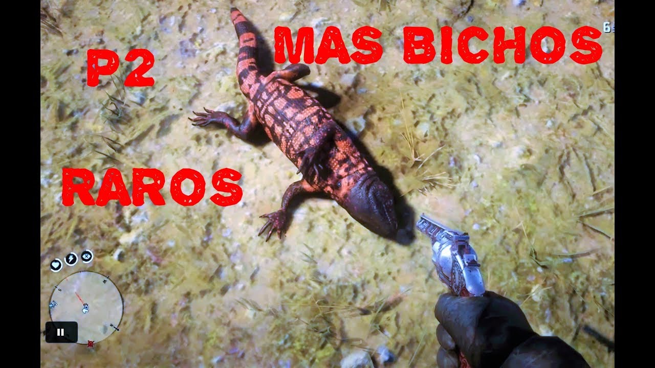 MONSTRUO DE GILA , BICHO RARO, Red Dead Redemption 2 - YouTube
