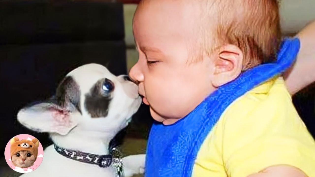 Little Dog Cuddling With Cute Baby || Pet Galaxy - YouTube