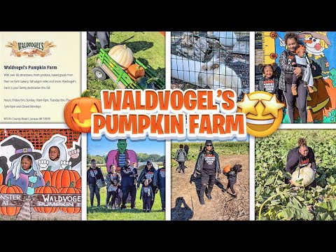 WALDVOGEL'S FARM | WISCONSIN LARGEST PUMPKIN FARM JUNEAU WI - YouTube