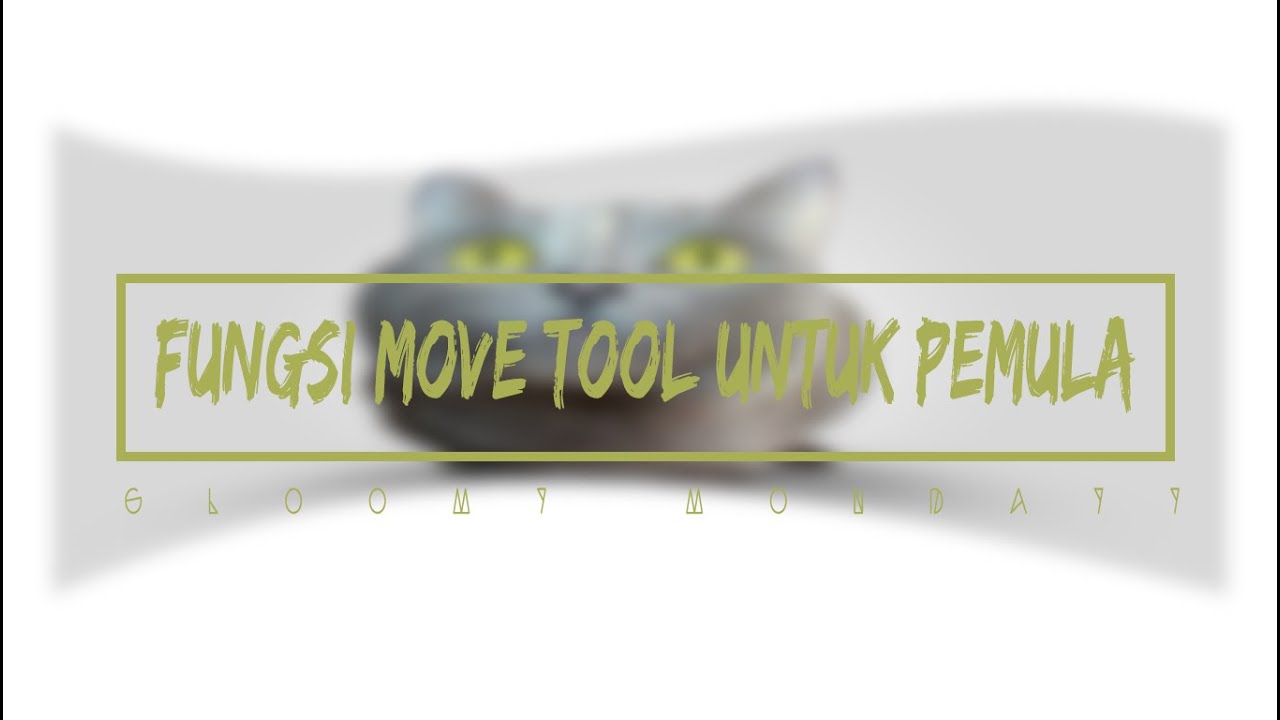 Move Tool Function For Newbie In Photoshop | Photoshop Tool Basics ...