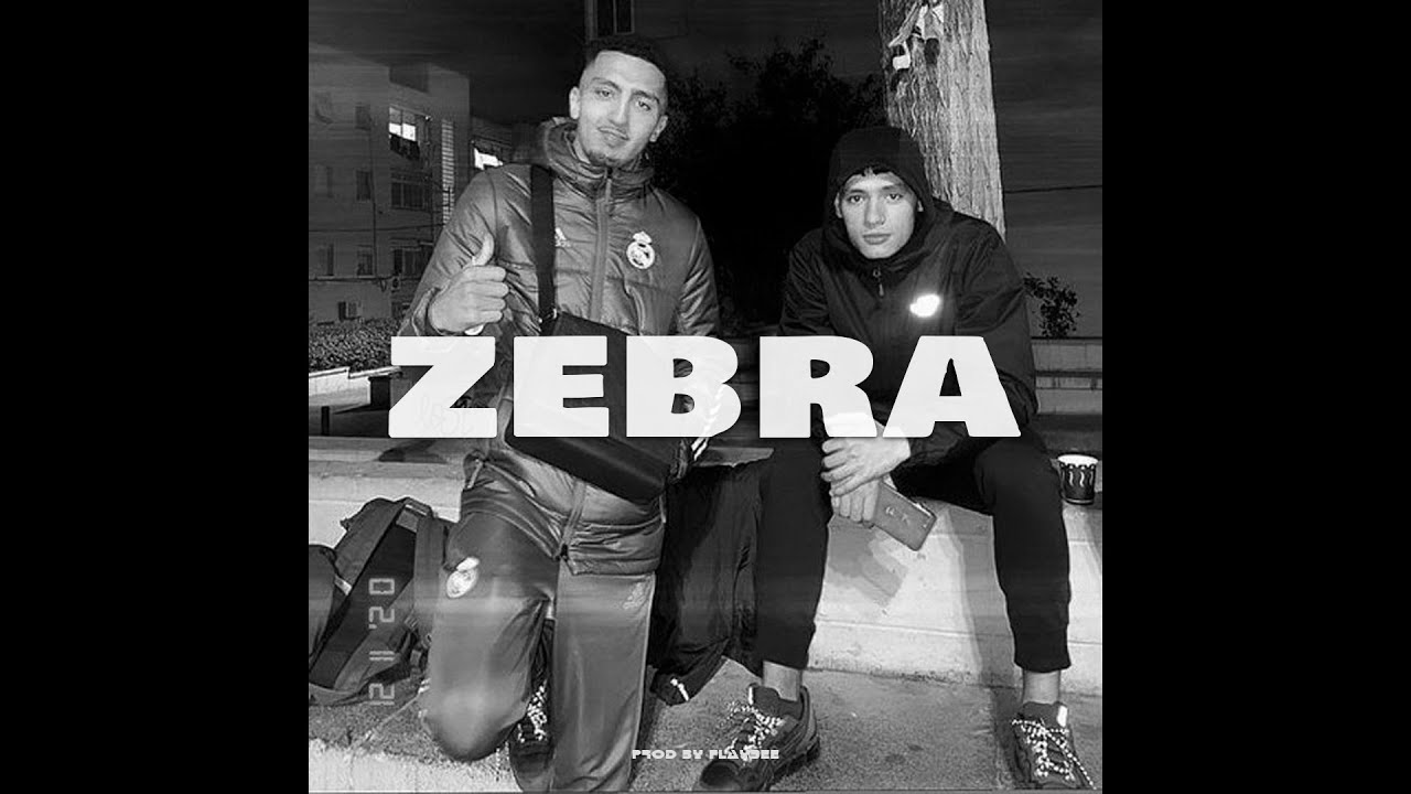 [FREE] Baby Gang x Morad type beat "Zebra" | Hip-House - YouTube