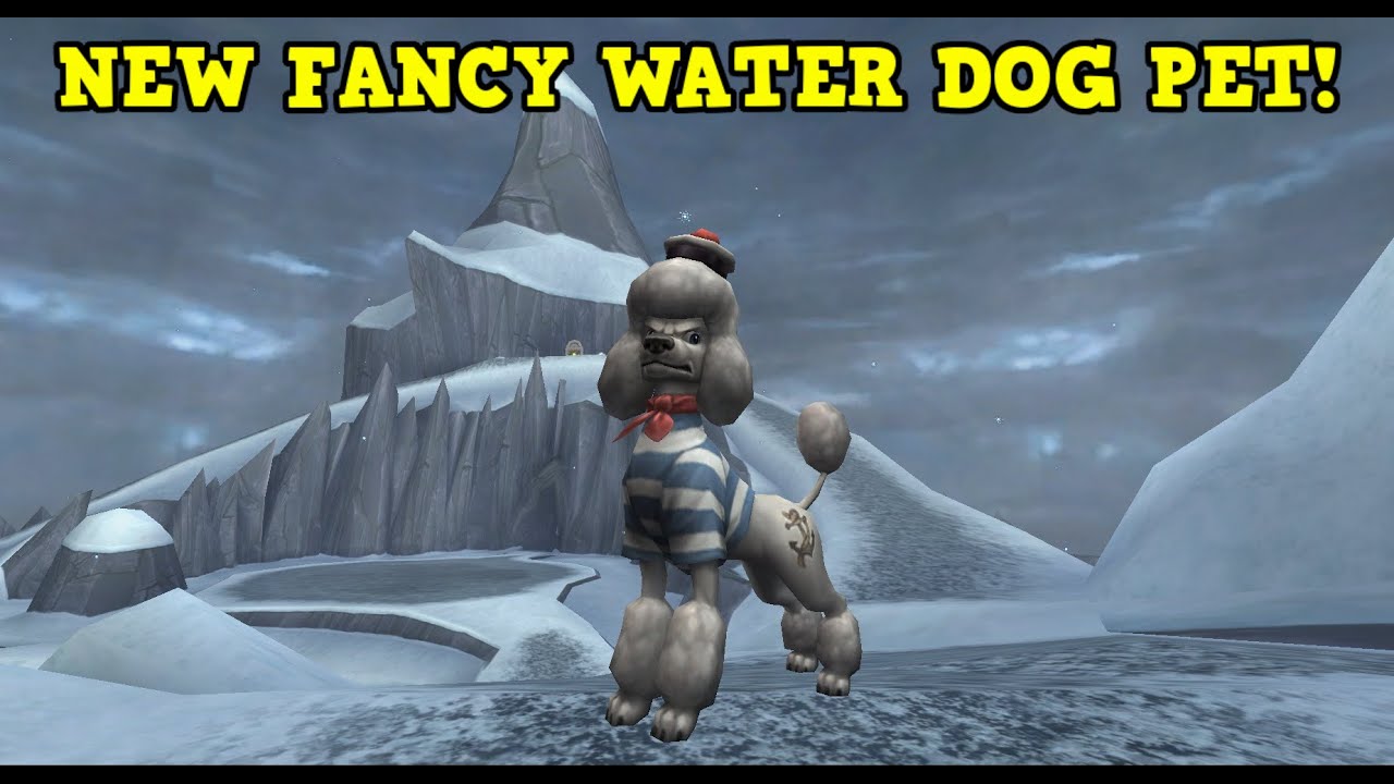 Wizard101 : NEW FANCY WATER DOG PET! - YouTube