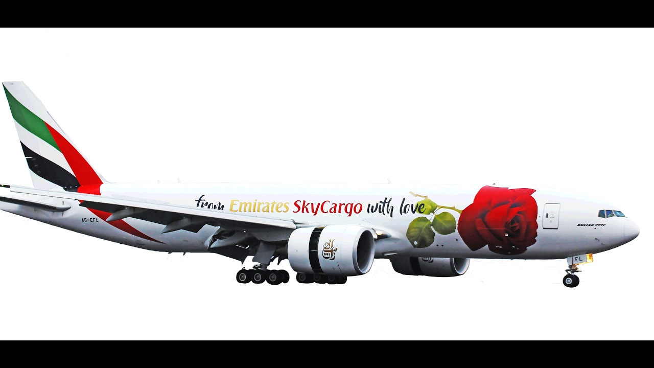 🌹 From Emirates SkyCargo with love 🌹 B777 rose livery landing - YouTube