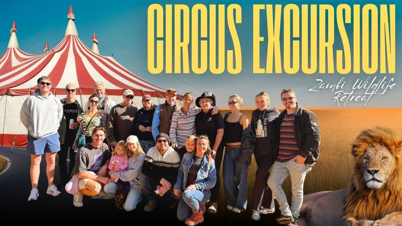 Visiting Circus Lions That I Grew Up With - YouTube