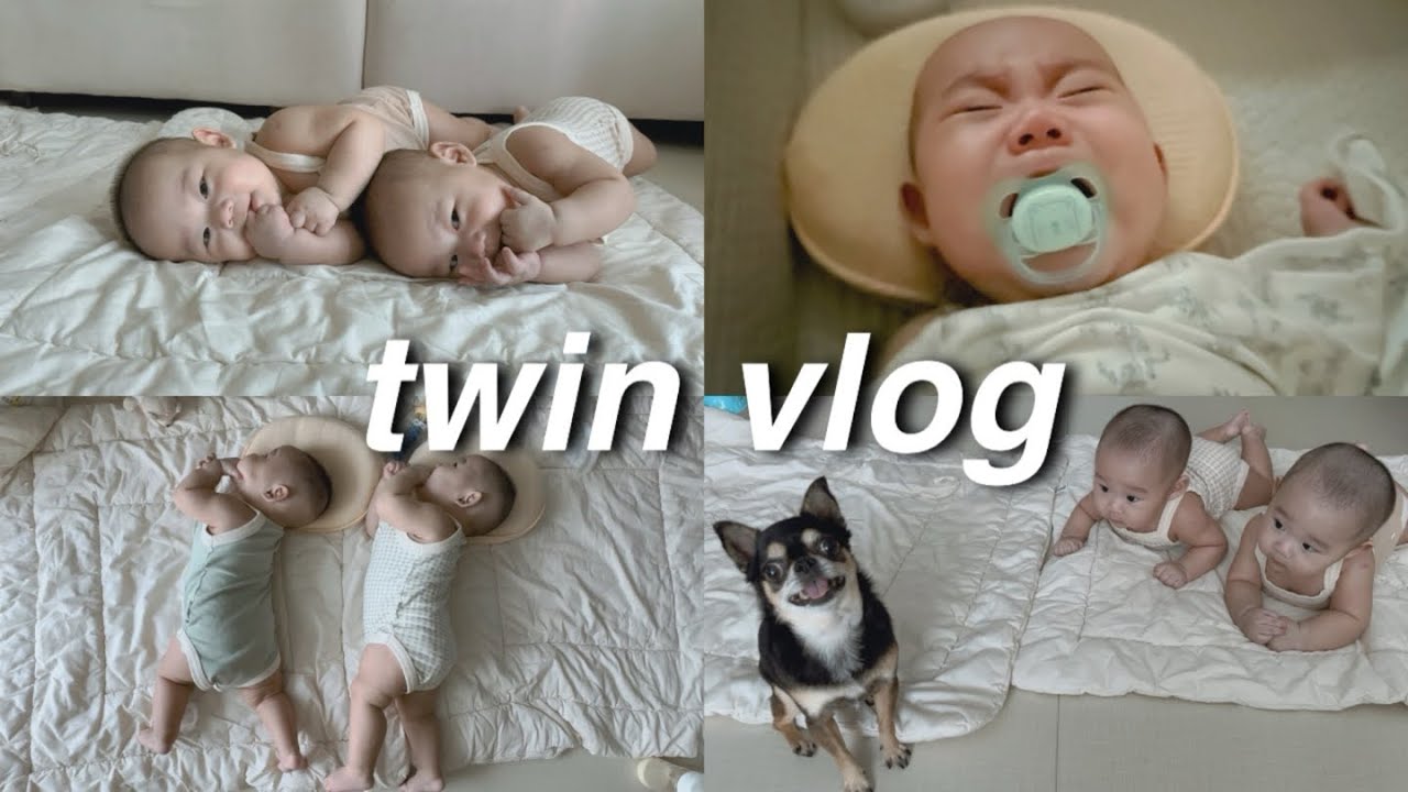 5개월아기 쌍둥이육아vlog👶🏻👶🏻 라라스베개 졸업했어요 애애개육아🐶 조리원동기모임 아기친구들 만나고 왔어요