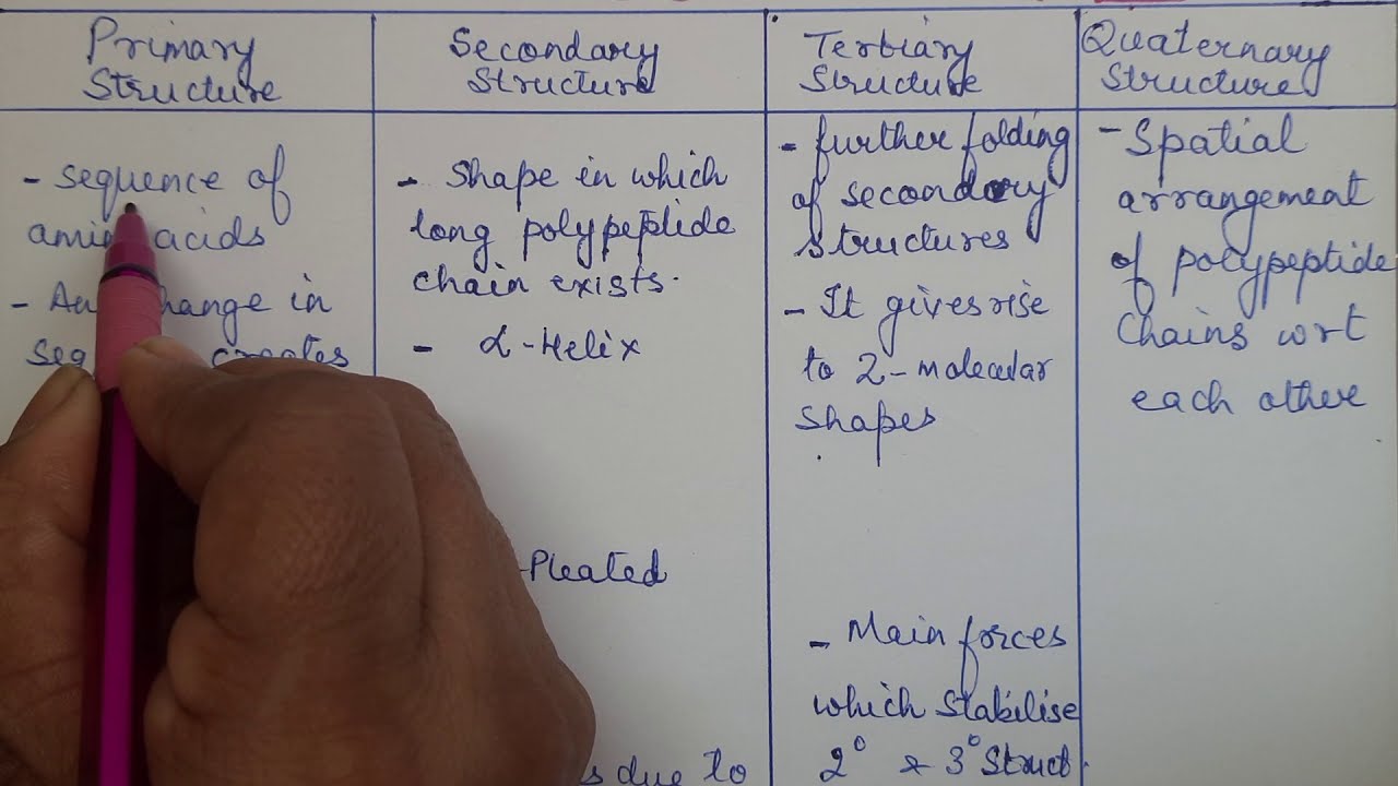 [ Chemistry , Class 12 ] Biomolecules # 6 - STRUCTURE / SHAPE OF ...
