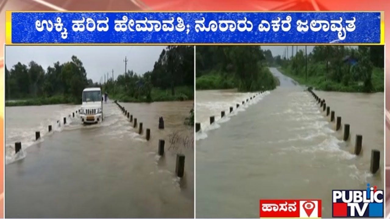 Heavy Rain In Hassan; Hemavathi River Submerges Crops Grown In Hundreds ...