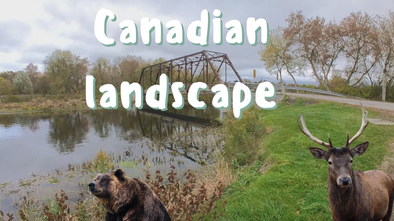 Canada ka jungle / Canadian Landscapes - YouTube