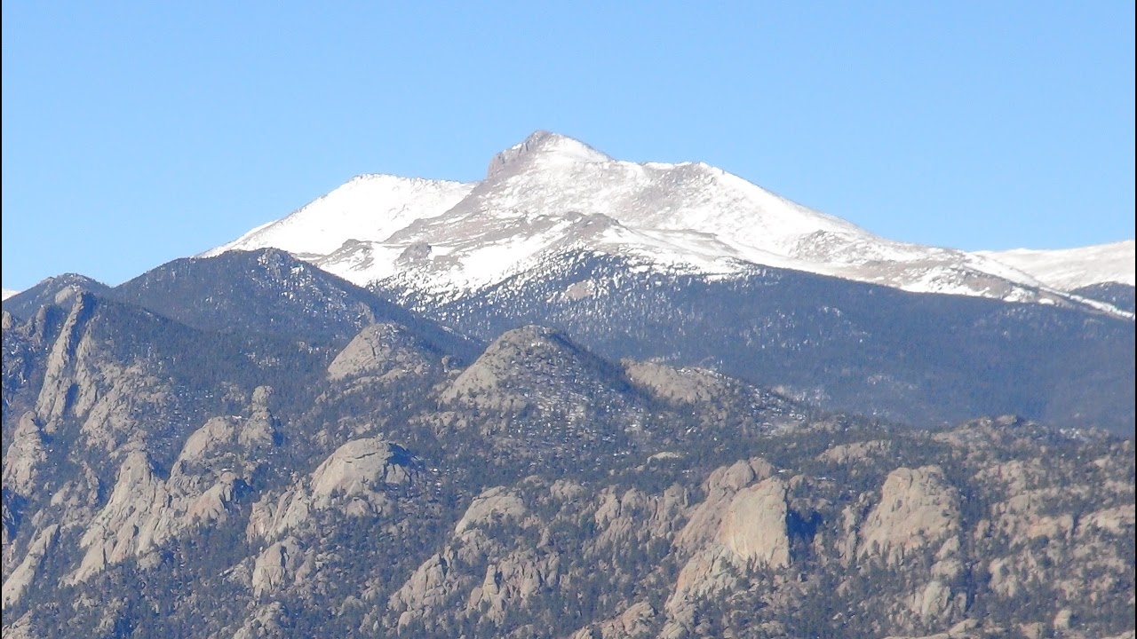 Steve Weed Live Stream - YouTube