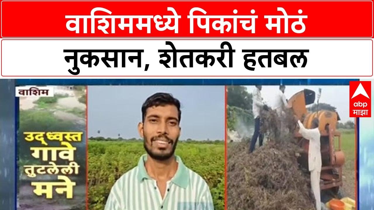 Crop Damage | वाशिममध्ये अतिवृष्टीने Soybean, Tur, Cotton चे मोठे ...