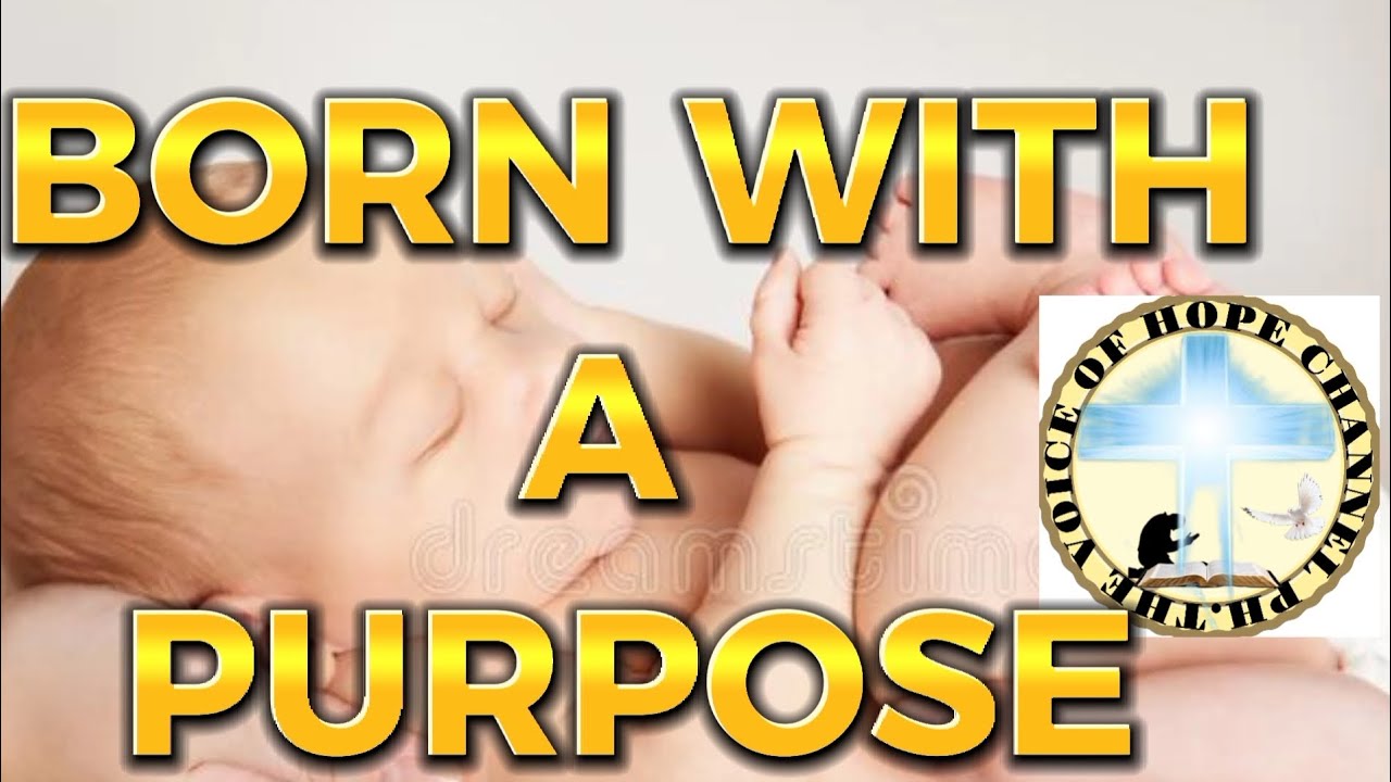 BORN WITH A PURPOSE PART 2.. - YouTube